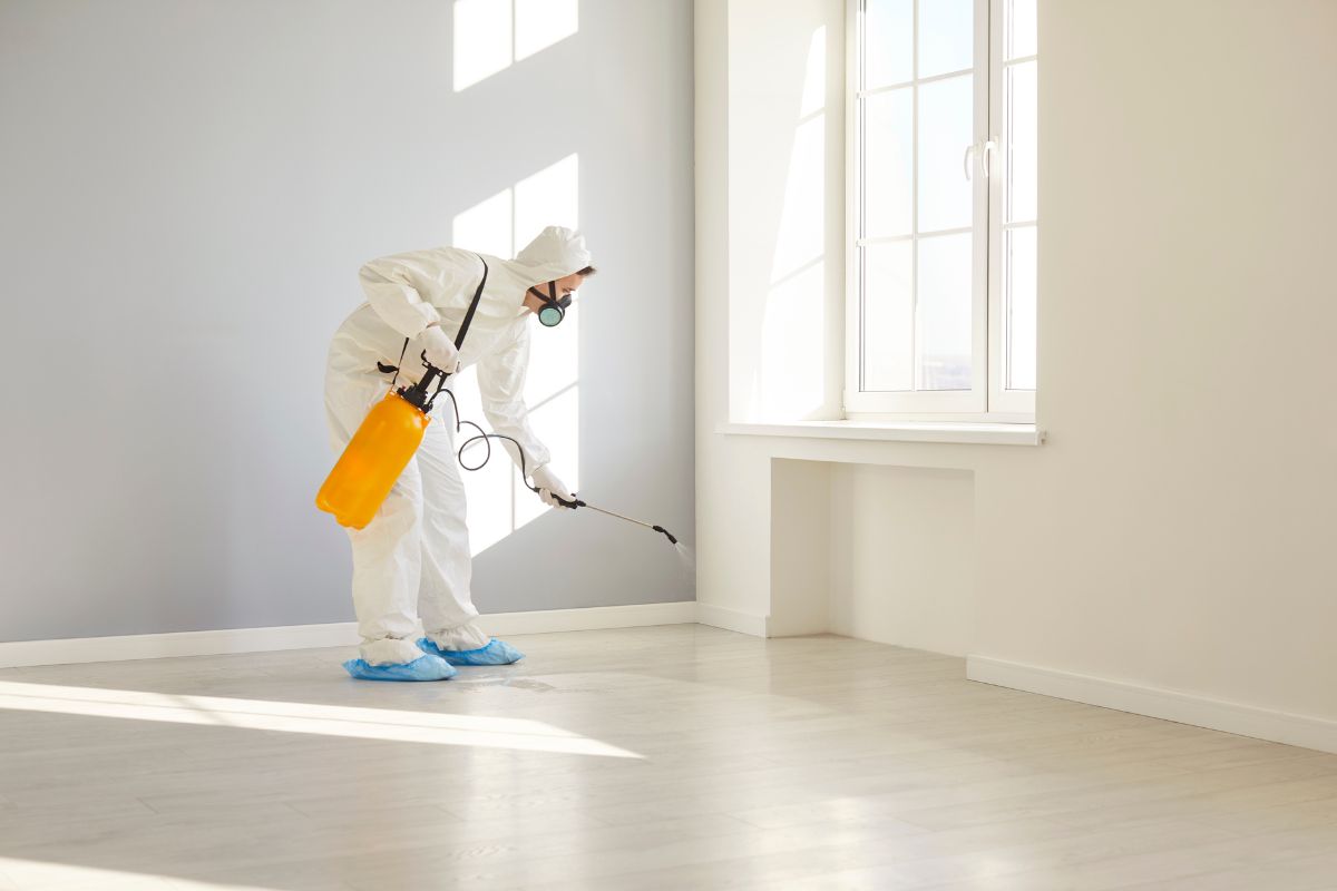 Bug Buster Gold Coast Brings Advanced Pest Control Solutions